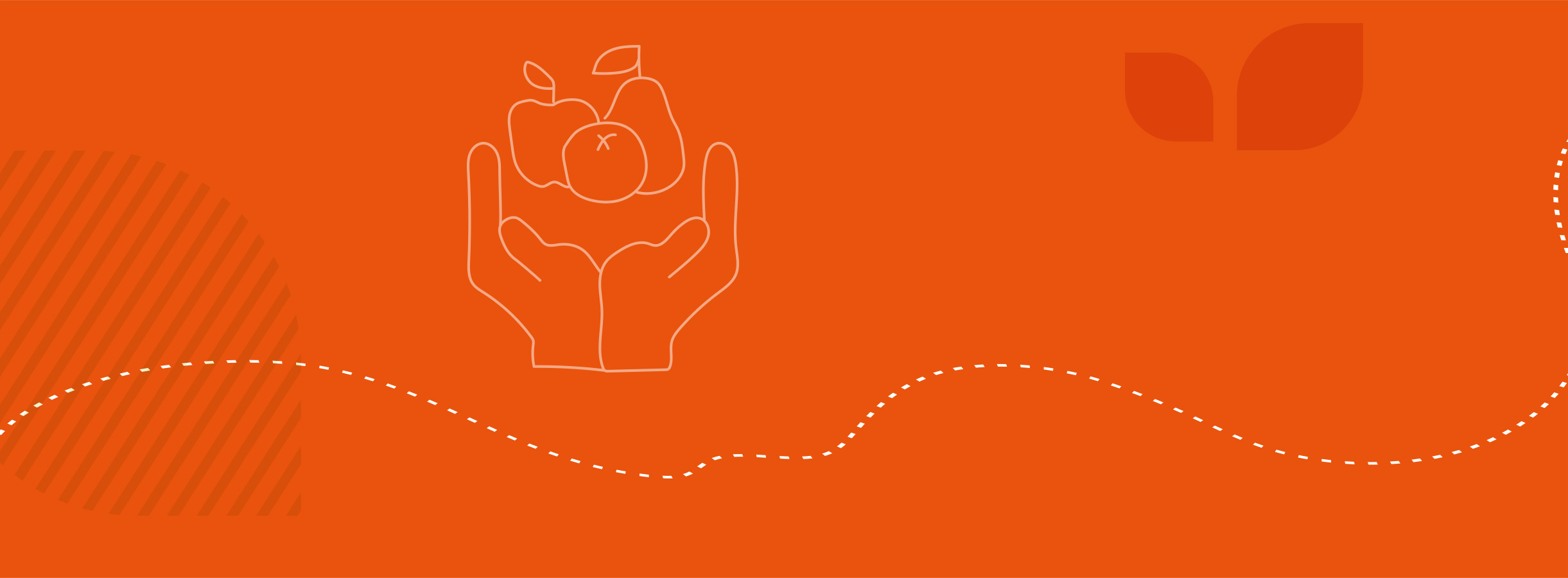 Sustainability – KÖLLA – THE FRUIT COMPANY